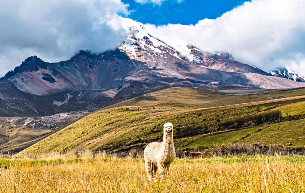Unterwegs in Ecuador