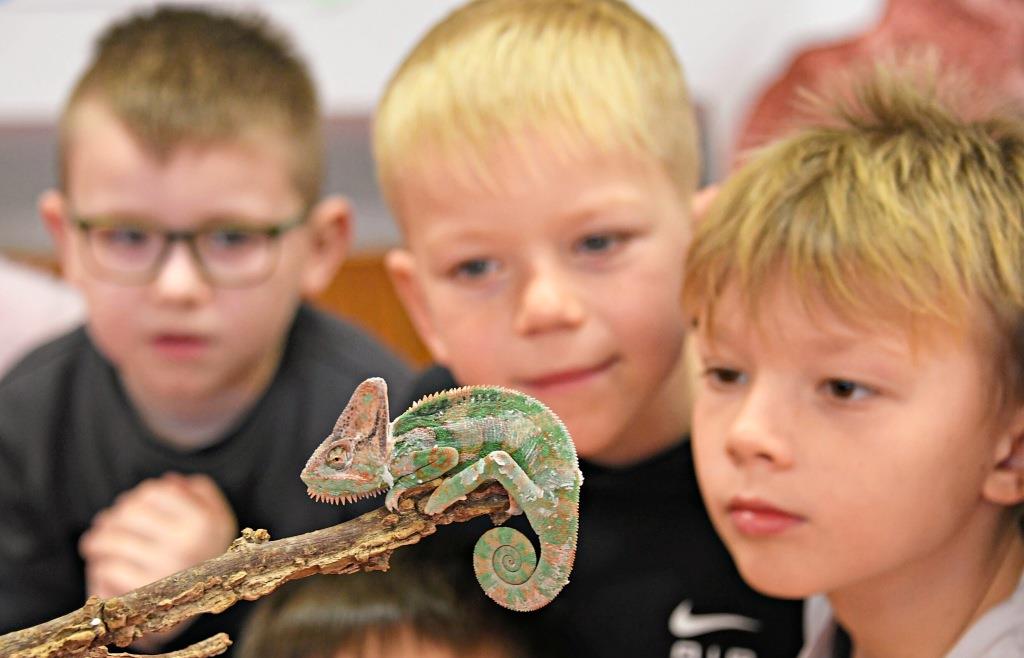 Lebendiger Biologieunterricht in Grundschule Heiligkreuz: Manfred ...