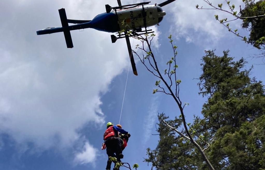 Burghauser bleibt mit Gleitschirm in Baum hängen