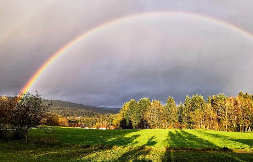 Buntes Spektakel im Regen