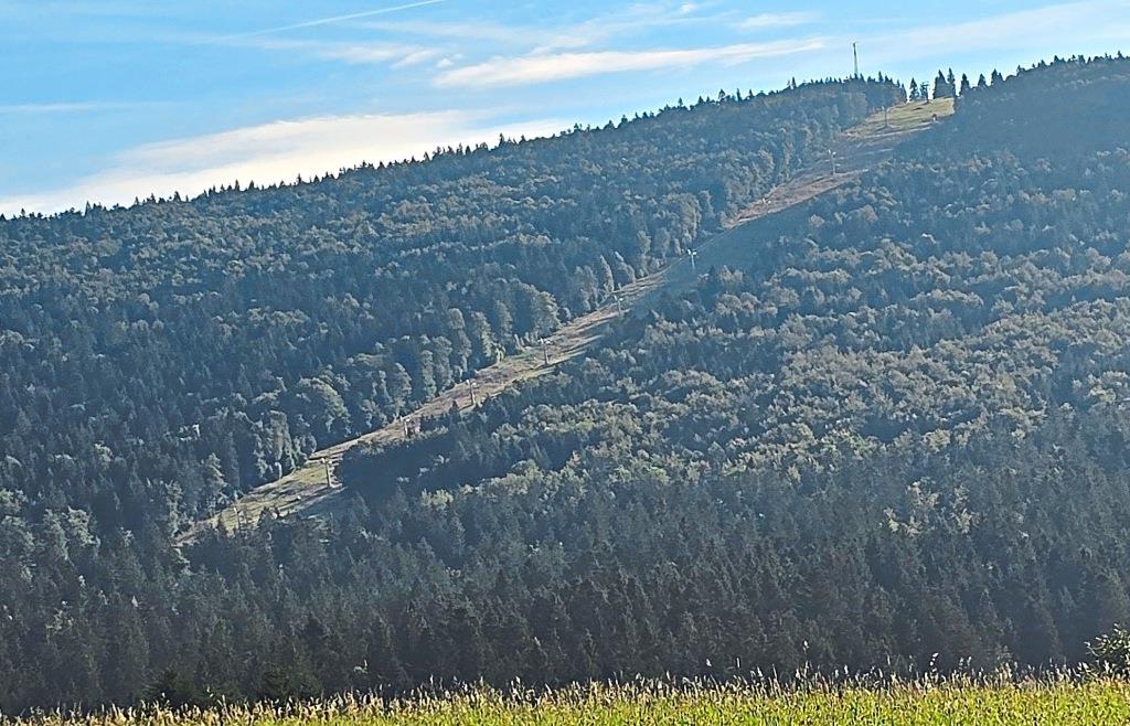 Gleitschirmfliegen am Großen Almberg?