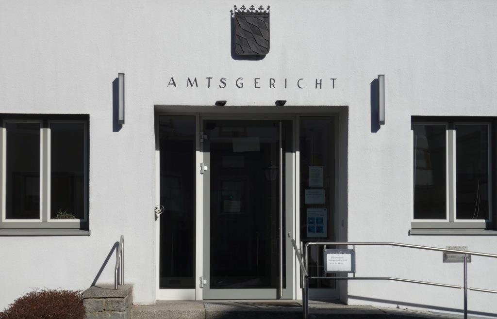 Rote Ampel übersehen: Geldstrafe und Fahrverbot nach Unfall