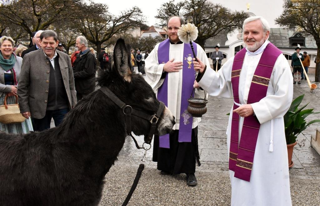 Ochs und Esel bei der 15. Bauernwallfahrt