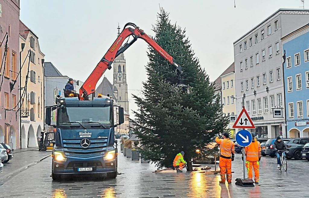 Bauhof-Leute stellen Christbaum aus Reischach auf und schmücken ihn mit ...