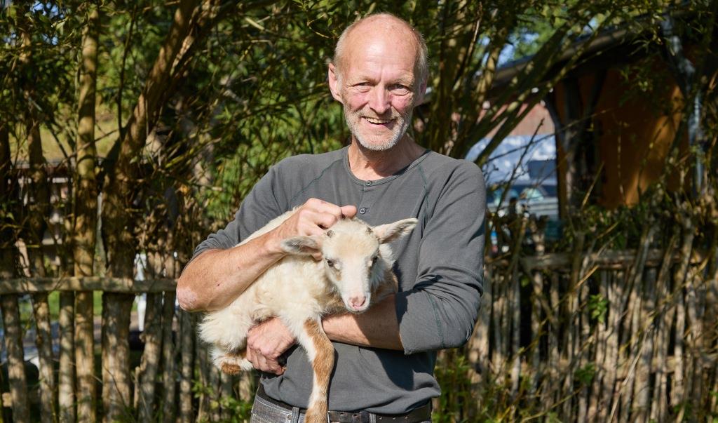 Flumo ist halb Schaf, halb Ziege: „Schiege“ bei Glücksburg geboren