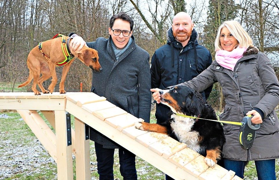 Neue Agility-Sportgeräte für die Hundespielwiese