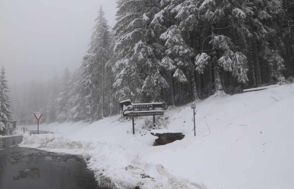 Bis zu 20 Zentimeter Neuschnee: Wintereinbruch im Bayerischen Wald
