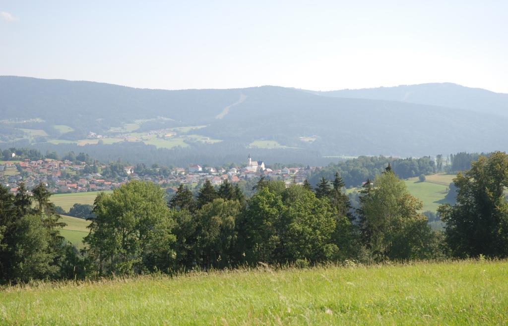 Rallye-WM sorgt in Breitenberg für reichlich Diskussionsstoff