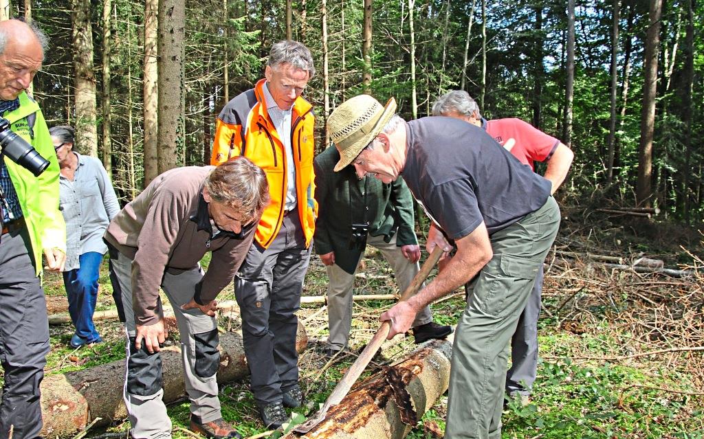 „Wald ist wichtig für die ganze Gesellschaft“