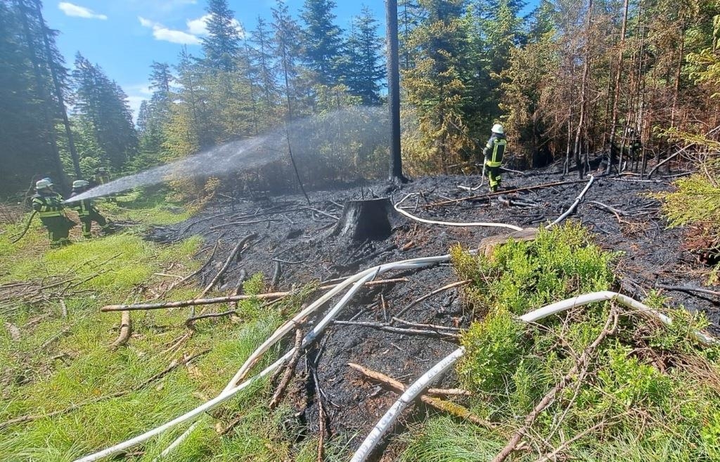 Rund 6400 Quadratmeter in Flammen: Waldbrand im Nationalpark Bayerischer Wald