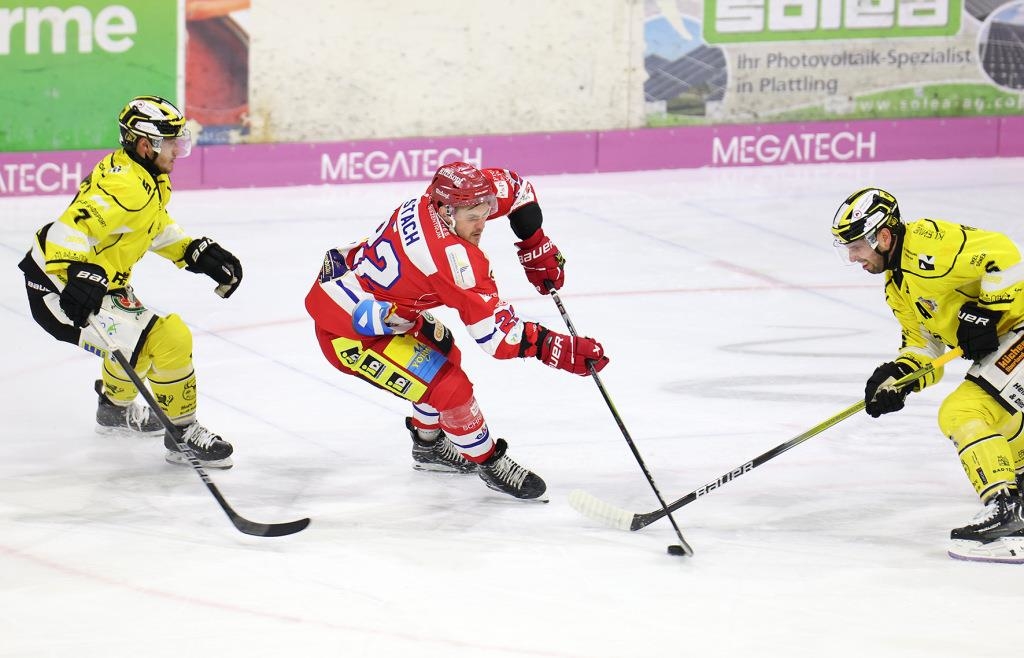 Schmid, Stach und eine bärenstarke Defensive: DSC bändigt Tölzer Löwen ...