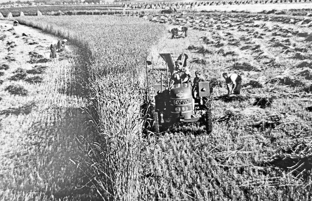 Zu Opas Zeiten in der Landwirtschaft
