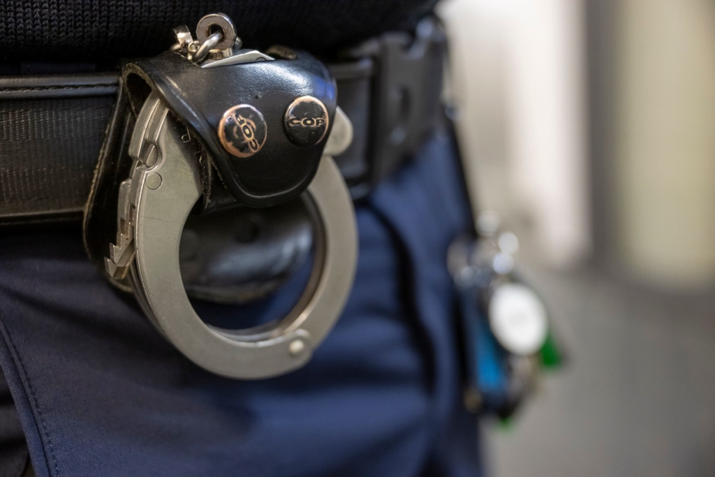 Betrüger geben sich als neue Nachbarn aus - Festnahme