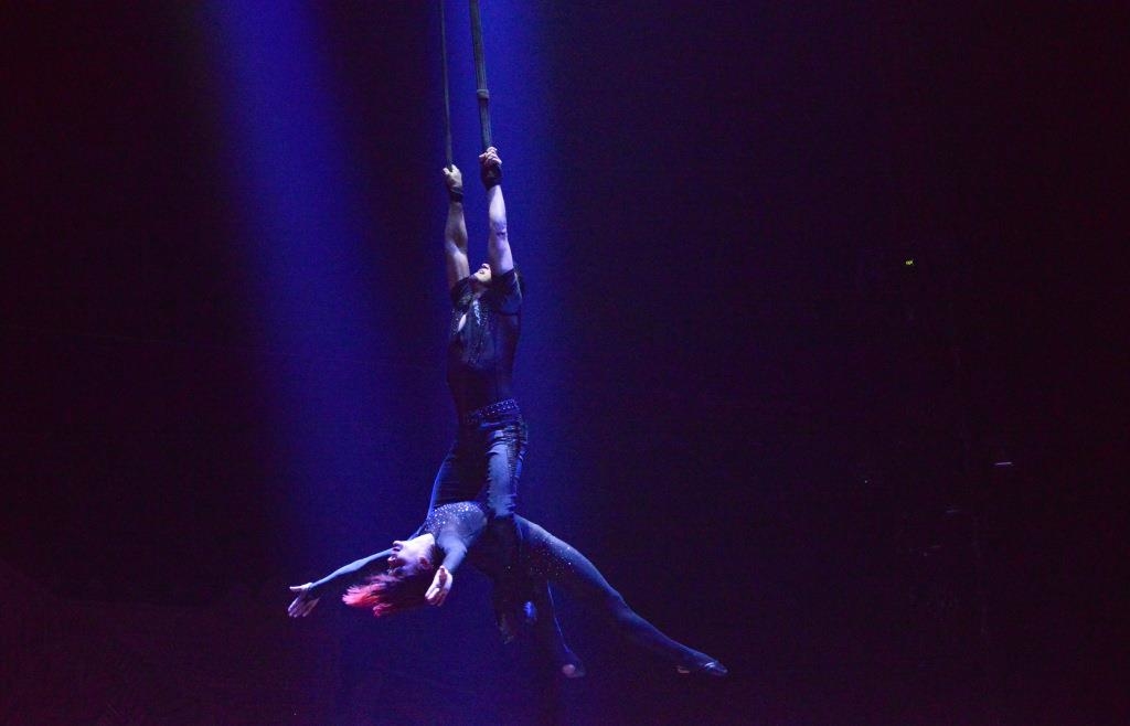 Circus Krone-Artistin (29) nach Absturz aus künstlichem Koma erwacht ...