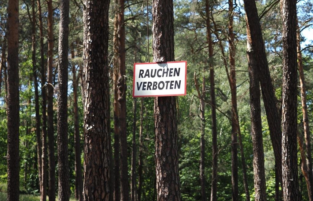Waldstück bei Reisbach gerät in Brand: War es Brandstiftung?