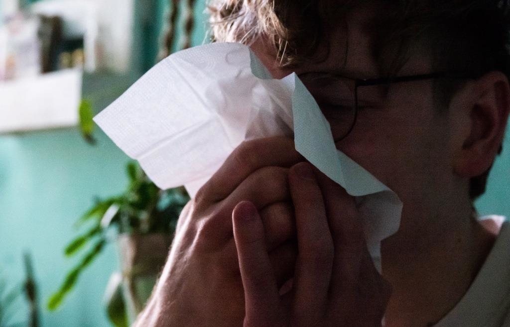 Schnupfen, Husten, Halsweh: Sind Coronatests noch sinnvoll?