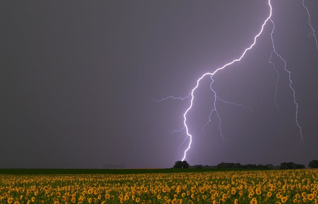 Gewitter, Starkregen und Hagel erwartet: Unwetter-Warnungen für mehrere Landkreise