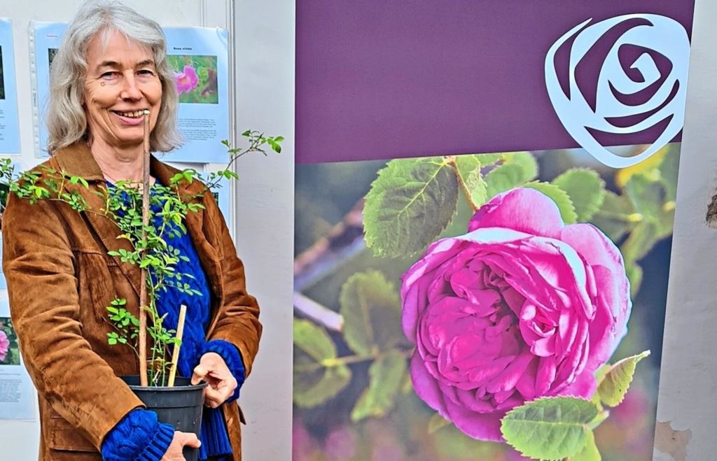 Marita Protte bei Pflanzentauschbörse: Leidenschaft für den Duft der Rose