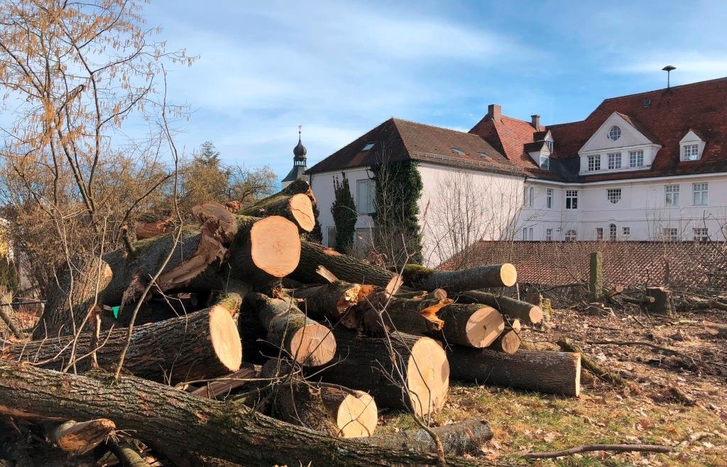 Grünes Zentrum: Regener Stadtrat sagt ja, aber...