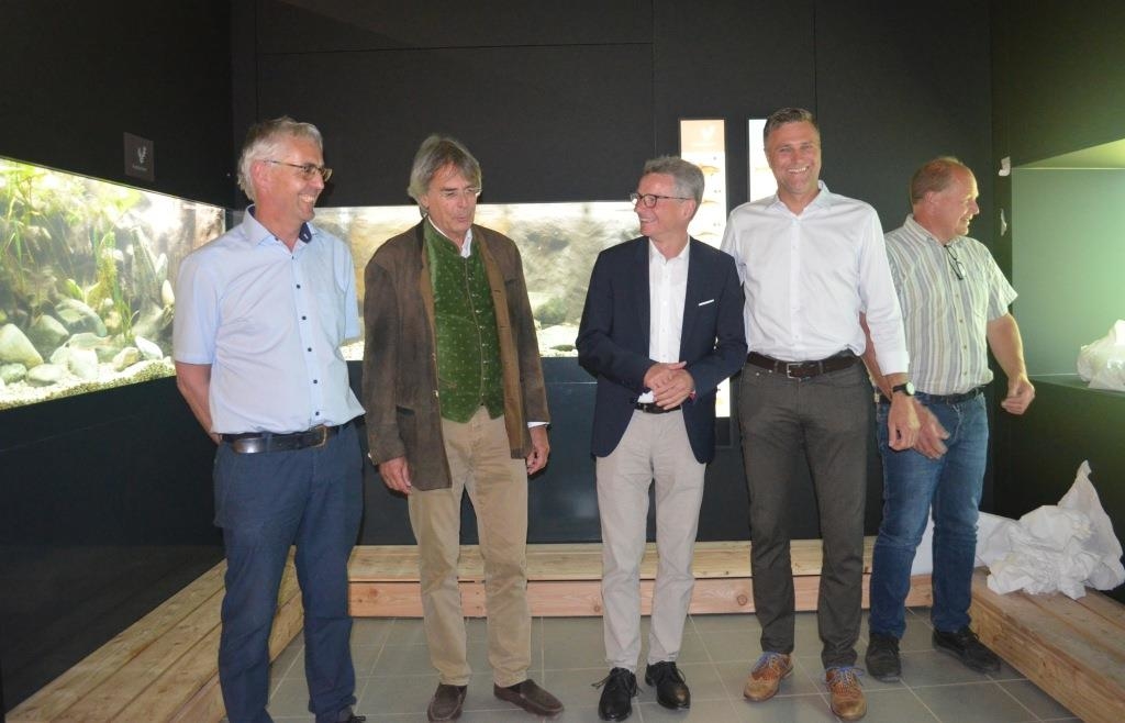 Im Infozentrum in Moos zeigen jetzt drei Aquarien Flussfische von Donau ...