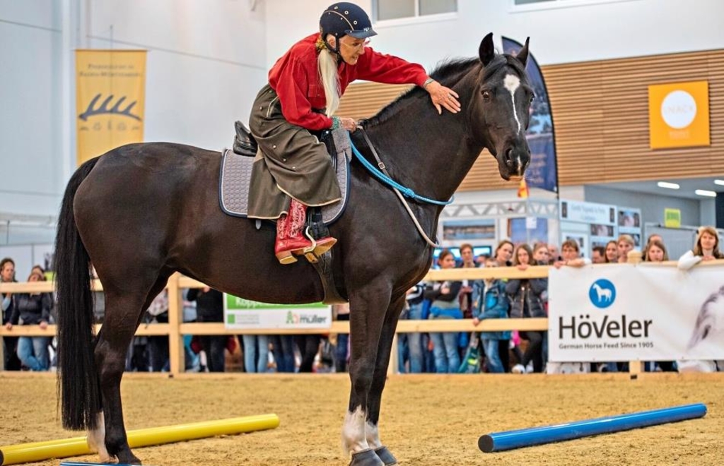 Das Pferd als respektierter Partner