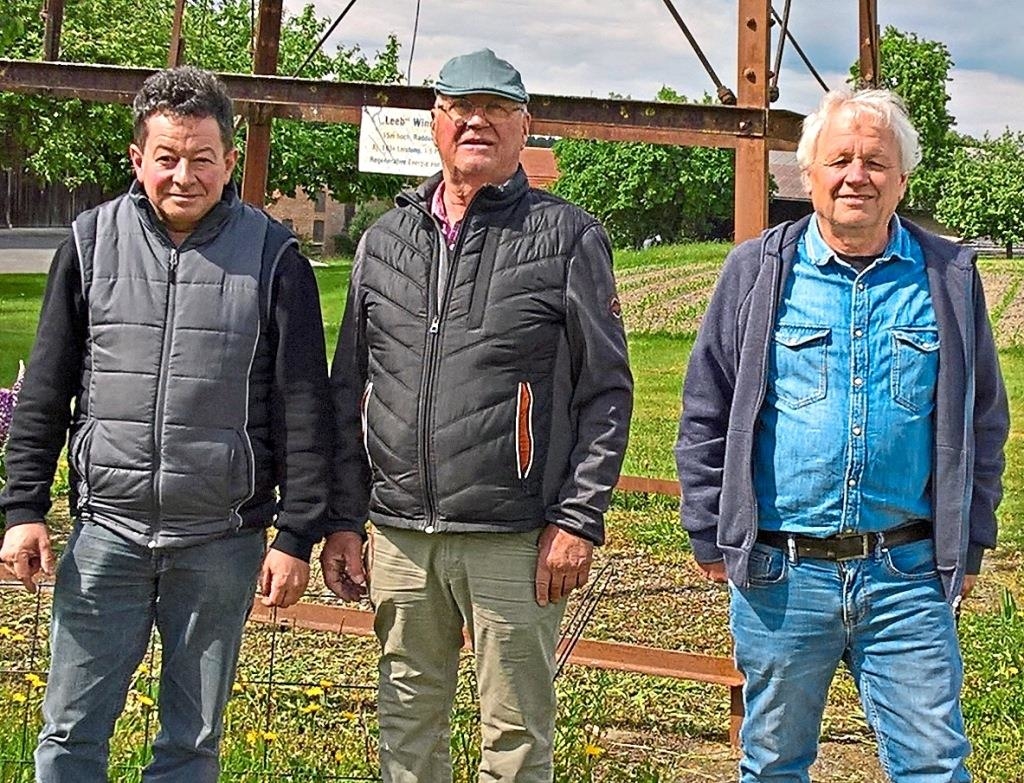 Wind zur Stromerzeugung nutzen