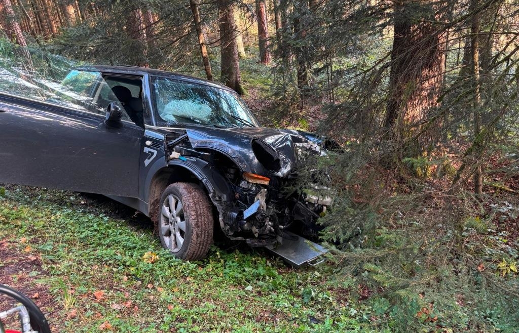 Auto landet am Baum – Fahrerin leicht verletzt