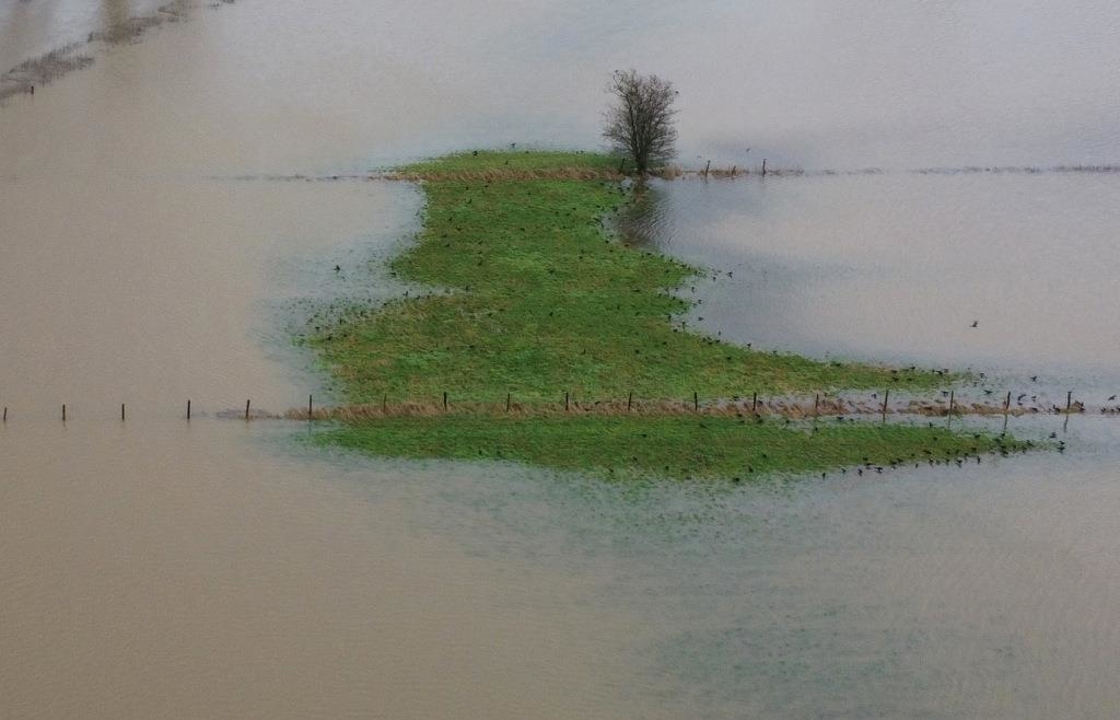 Hochwasser und Dauerregen in Ostbayern: So ist die Lage am Donnerstag