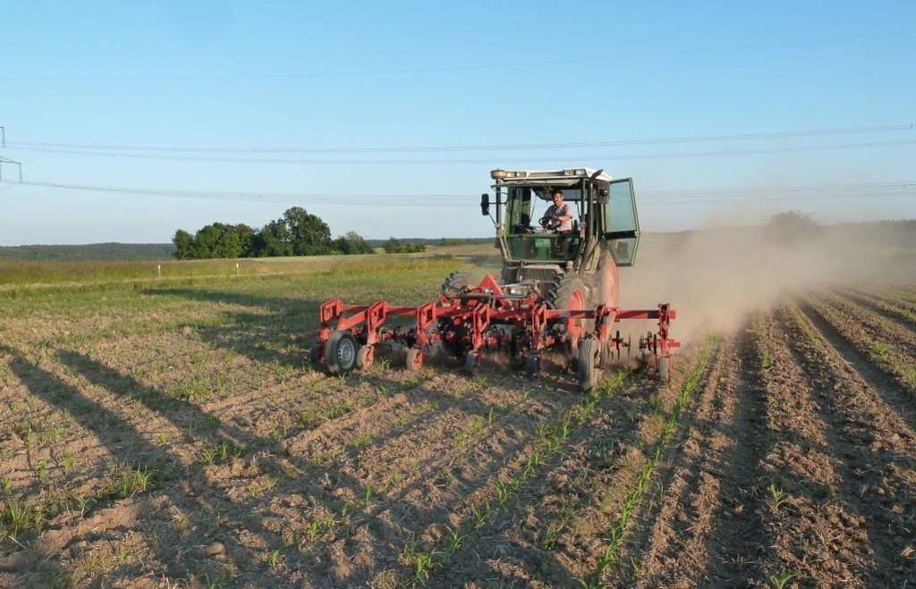 Wetterextreme machen Bauern zu schaffen