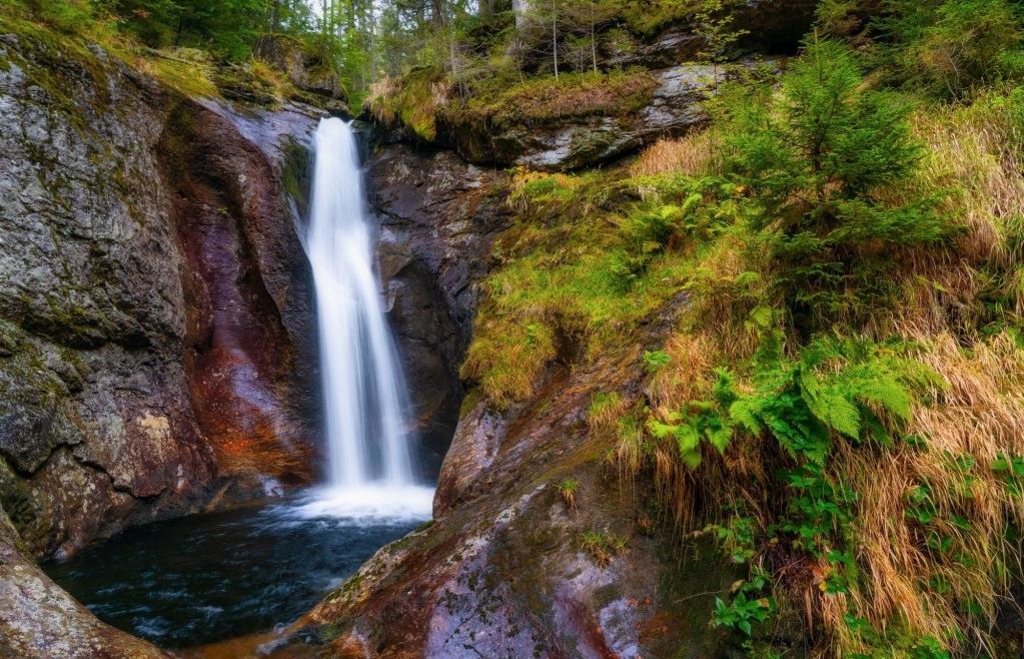 Wo liegt der schönste Wanderweg Deutschlands? Bodenmais ist mit im Rennen