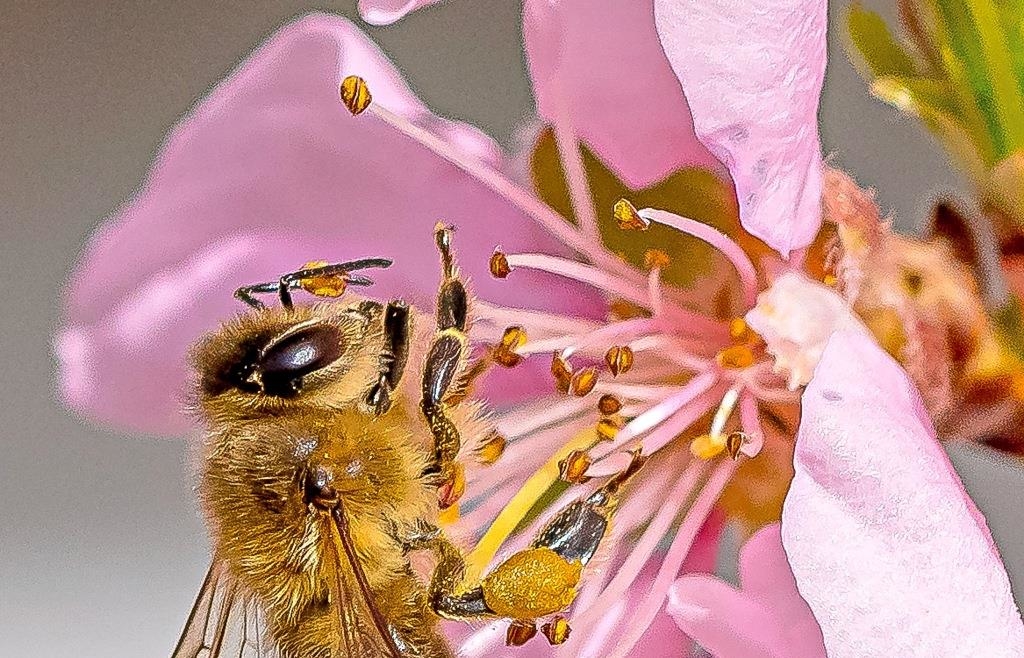 Warum der Frühling erst wieder im Jahr 2100 am 21. März beginnt
