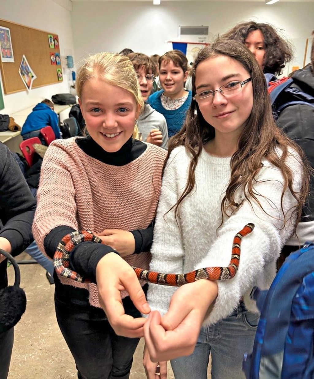 Besuch von Schlange, Lurch & Co.: „Lebendiger“ Biologievortrag von ...