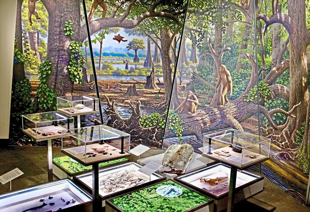 „Molassic Park“ wird eröffnet