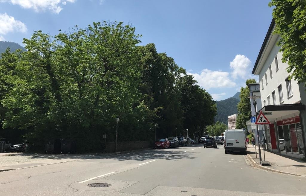 Neuer Asphalt für die Wittelsbacherstraße – Drei Wochen Umleitung und ...