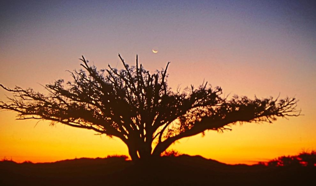 Namibia und Südafrika hautnah