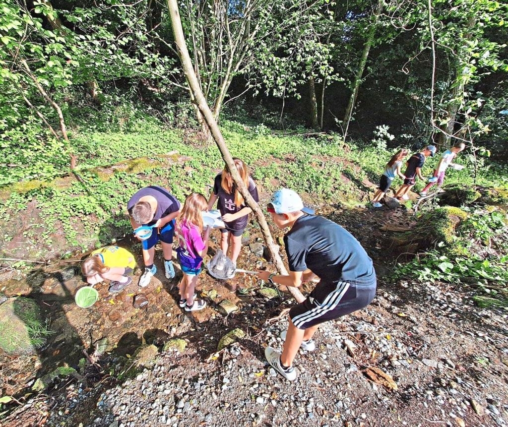 Schüler erforschen Wald und Wasser