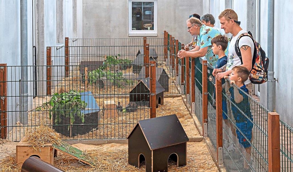 Sommerfest im Tierheim: Ein Tag voller Tierliebe