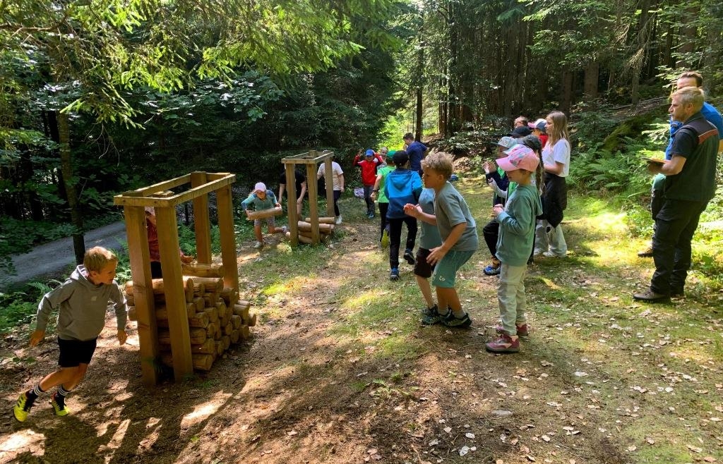Waldjugendspiele auf der Frath: Fast 800 Kinder lernen den Wald in ...