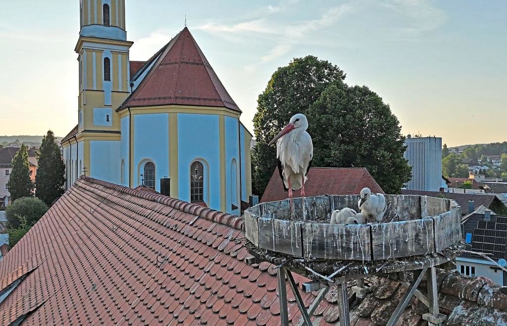 Bokep model xysil neither too thin, and not overly