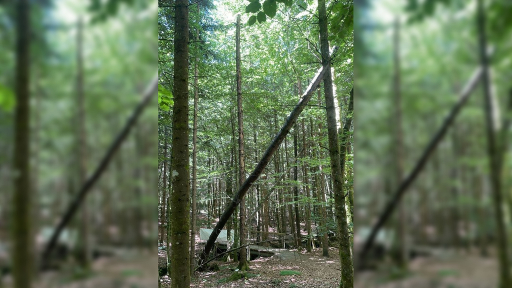 Sotwe melayu bokep our morning plans were thrown off due to