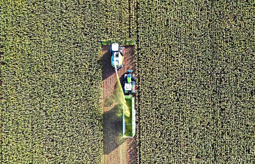 Ärger über umstrittene Agrar-Studie: Landwirte drohen mit Kirchenaustritt