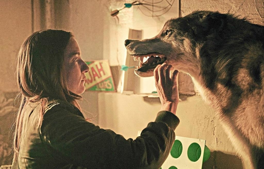 Allein unter Wölfen: Kritik zum neuen Krimi aus Passau „Der Rote Wolf“