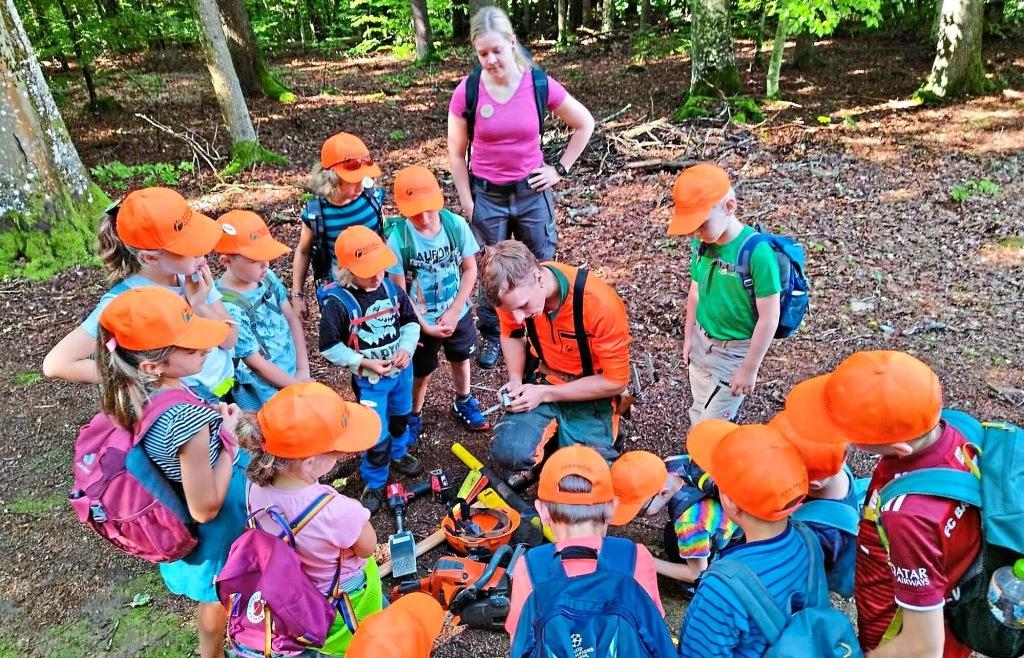 Kinder entdecken „Wald als Arbeitsplatz“