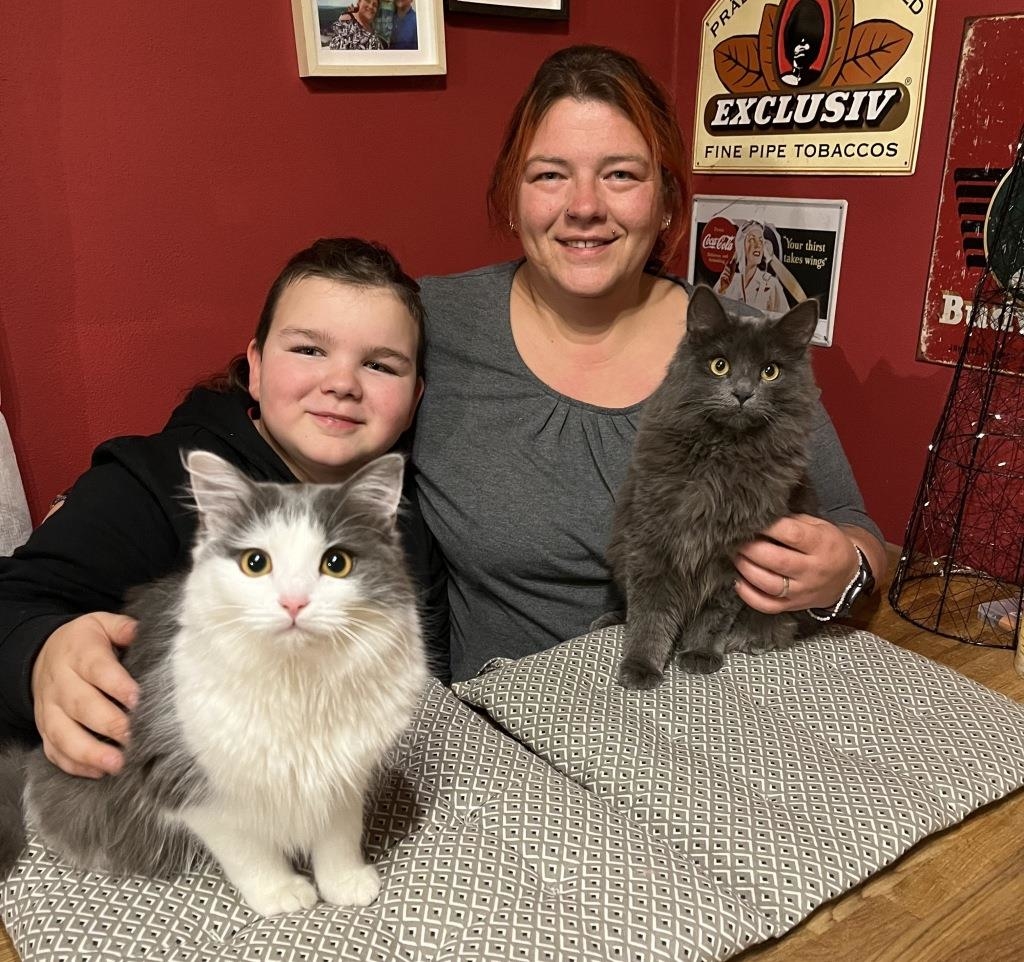 Familie Batzer aus Viechtach erlebt Weihnachten mit den Samtpfoten ...