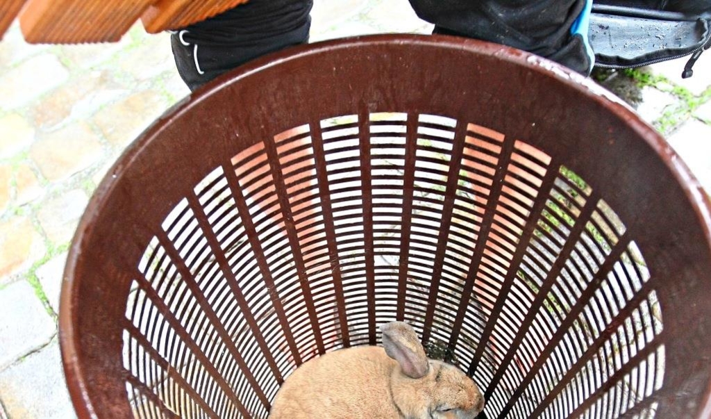 Jahrhundert-Hochwasser in Passau schreibt große Geschichten und kleine Geschichten